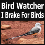 Bird Watcher Bumper Stickers – Oklahoma City Audubon Society